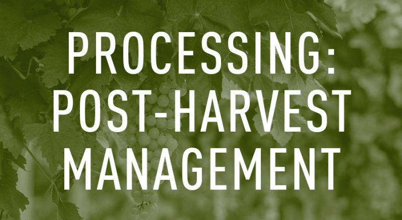 Processing: Post-Harvest Management of Fruit - Dried Fruits Australia